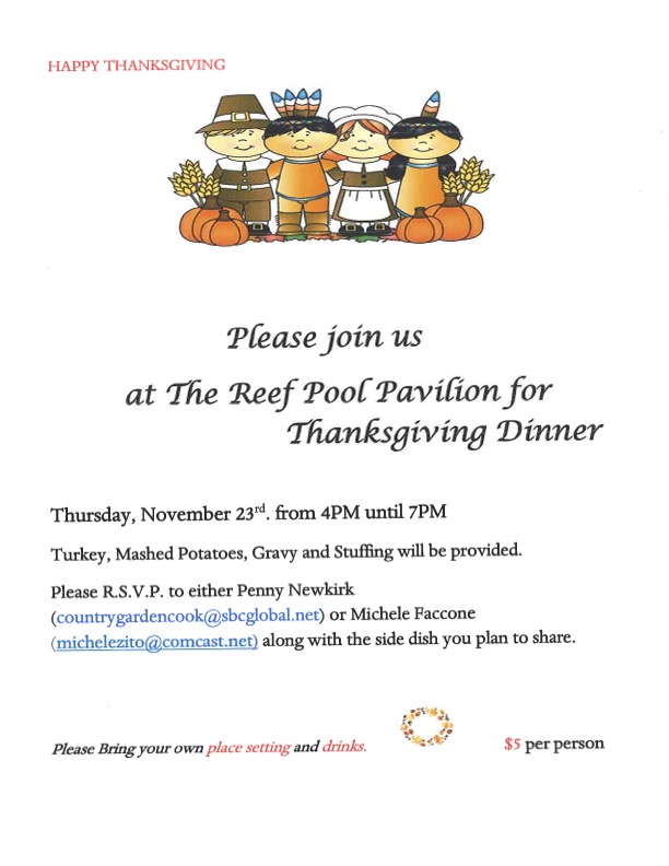 Thanksgiving Dinner at the Pool - Reef Condos, US Virgin Islands